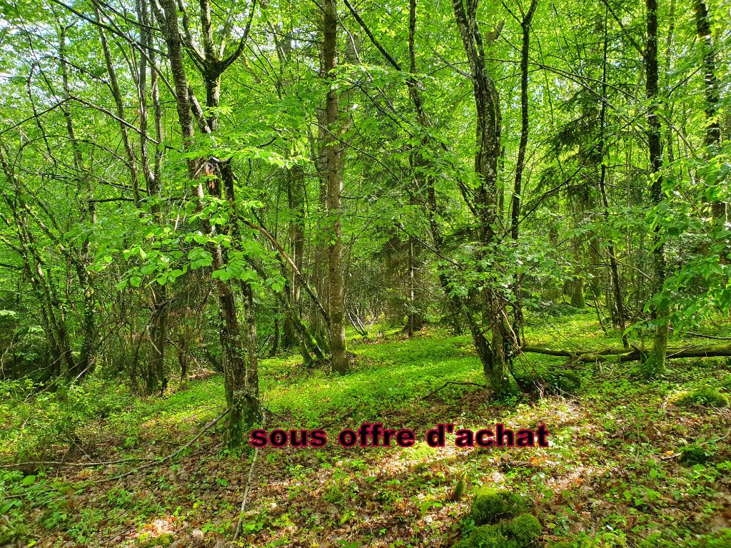 Marc BONNEAU - Votre conseiller(e) en immobilier