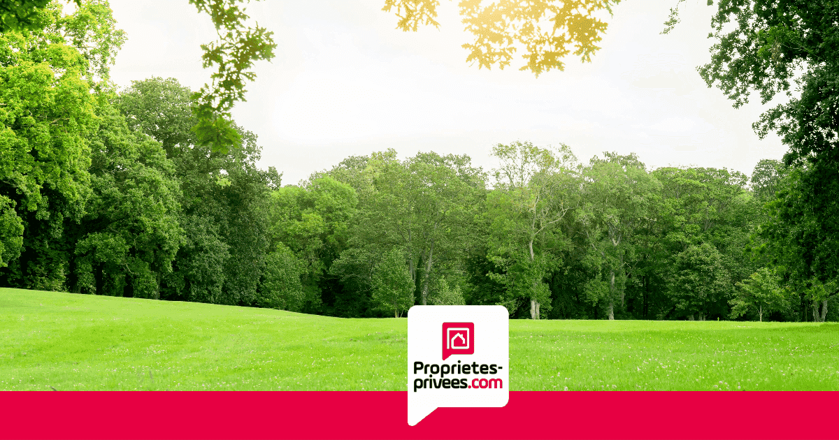 Ce que vous devez savoir avant d'acheter un terrain